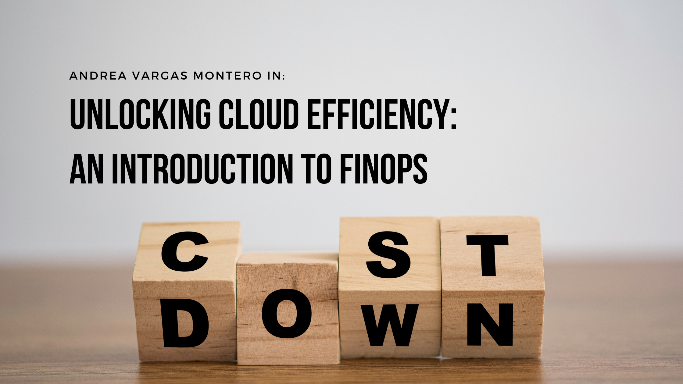 Unlocking Cloud Efficiency: An Introduction to FinOps